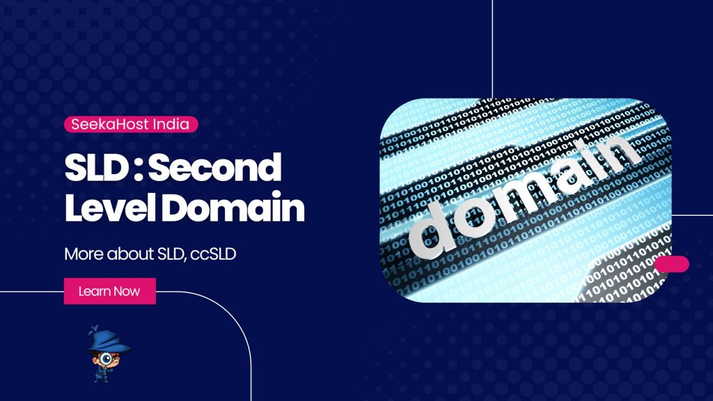 What is Second Level Domain? – SLD and ccSLD | SeekaHost IN
