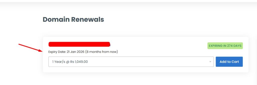 How to Check Hosting and Domain Expiry Date Details?