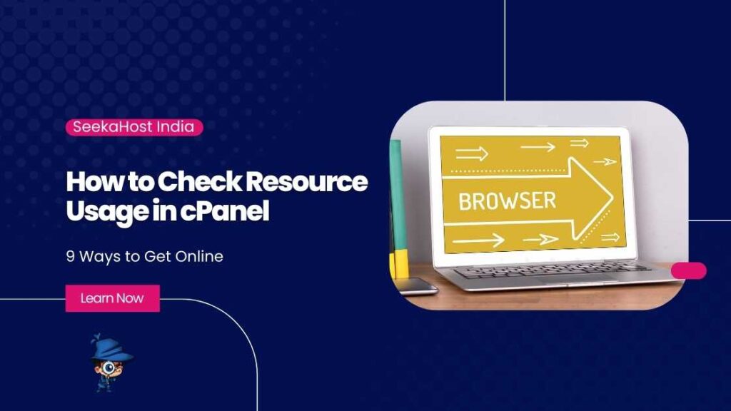 How to Check Resource Usage in cPanel? | SeekaHost India